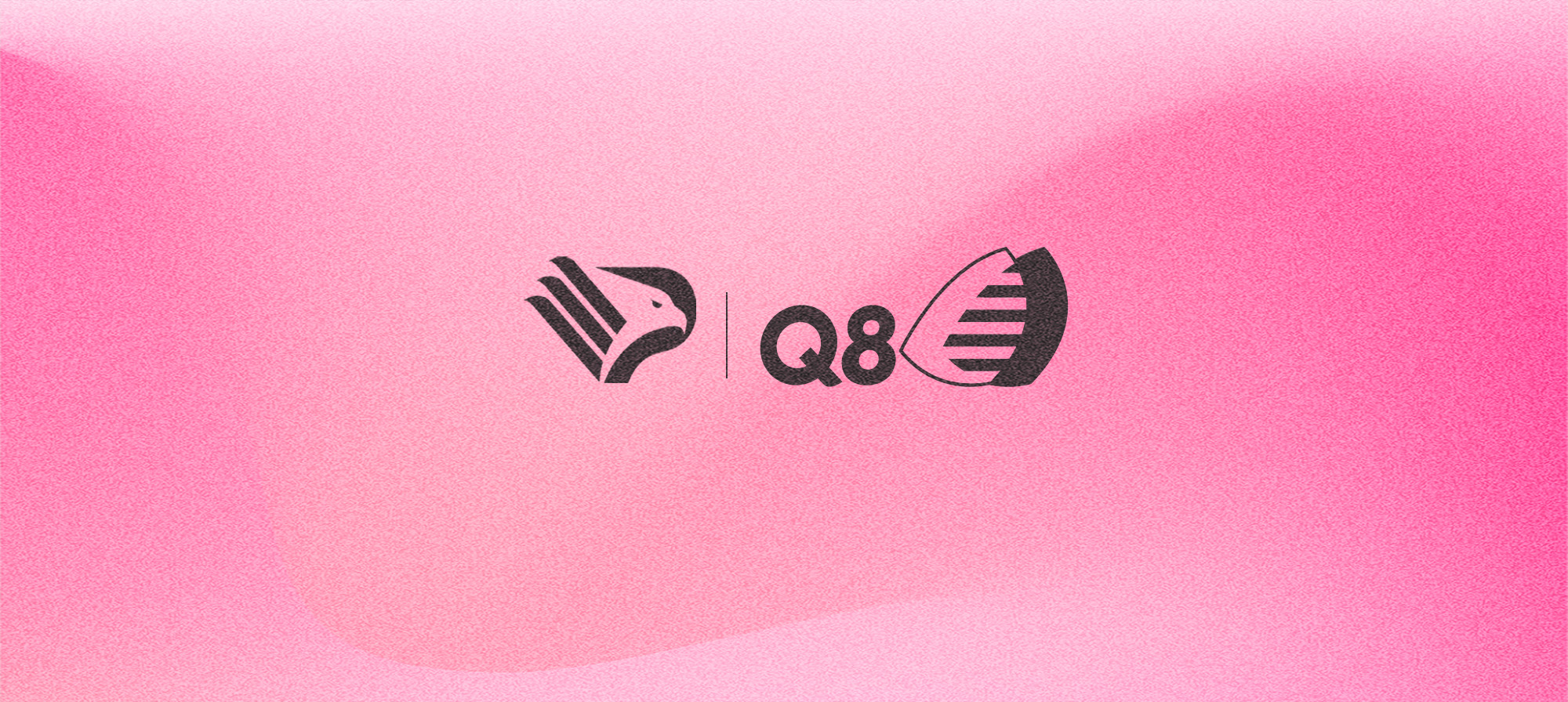 Q8 is Official Partner of Palermo FC | Palermo F.C.