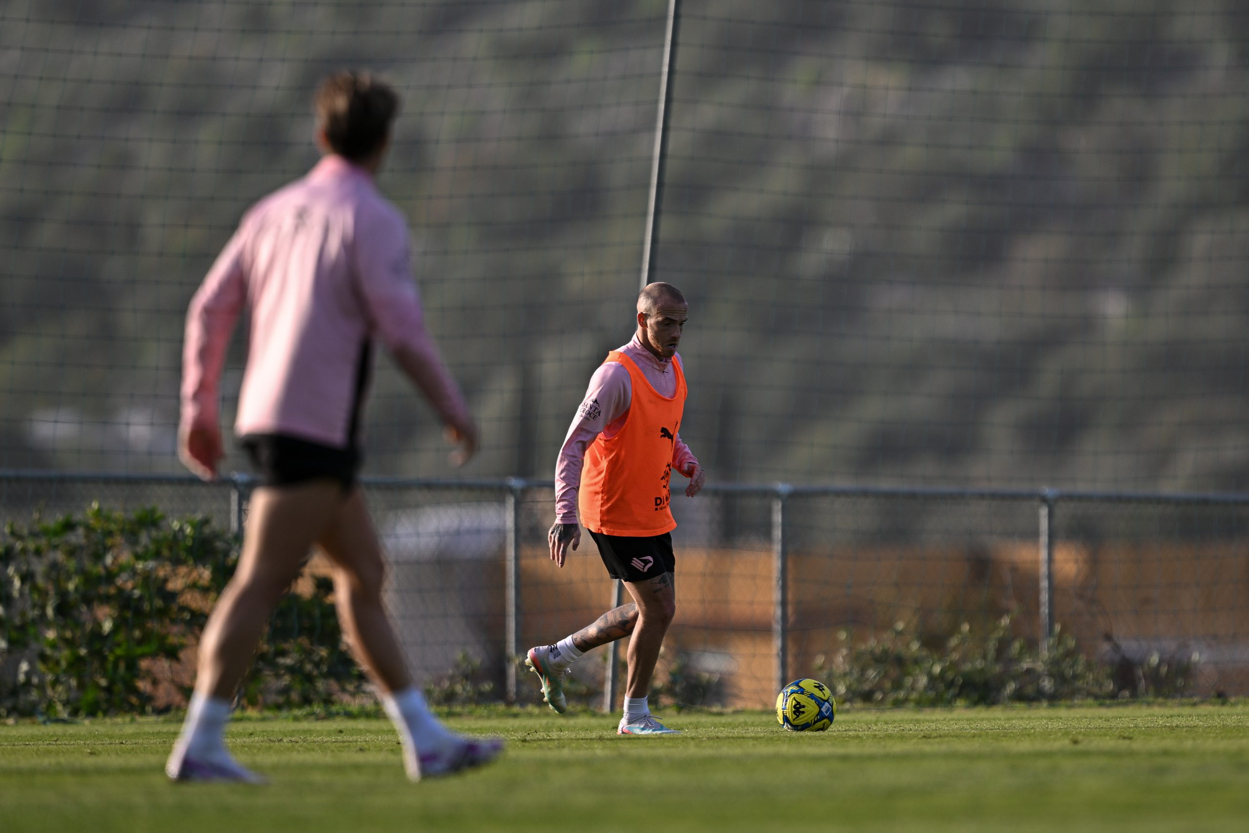 26th January training report | Palermo F.C.